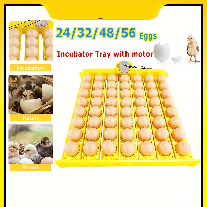 egg incubators sold on Temu United States