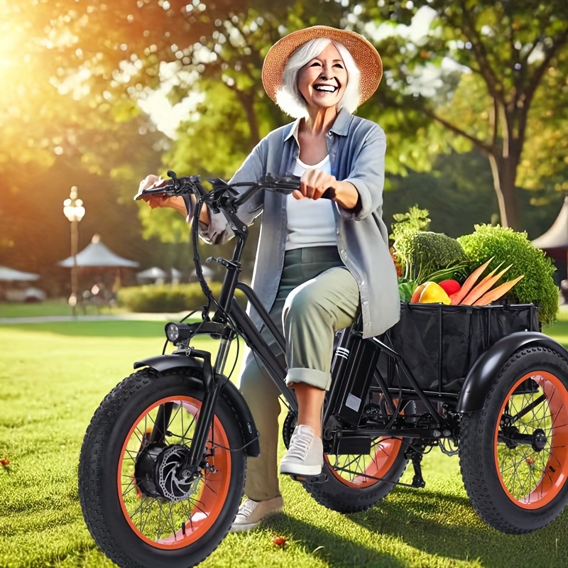 electric adult tricycle sold on Temu United States