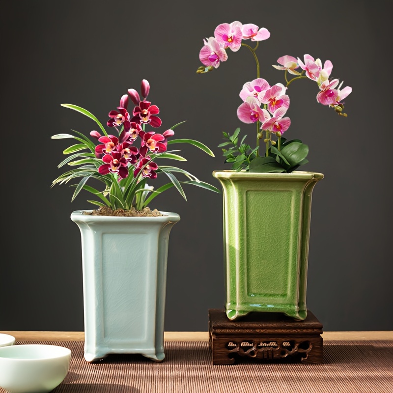 small bonsai pots sold on Temu Australia