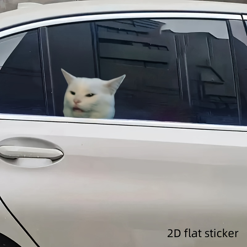 Funny Car Memes Cat