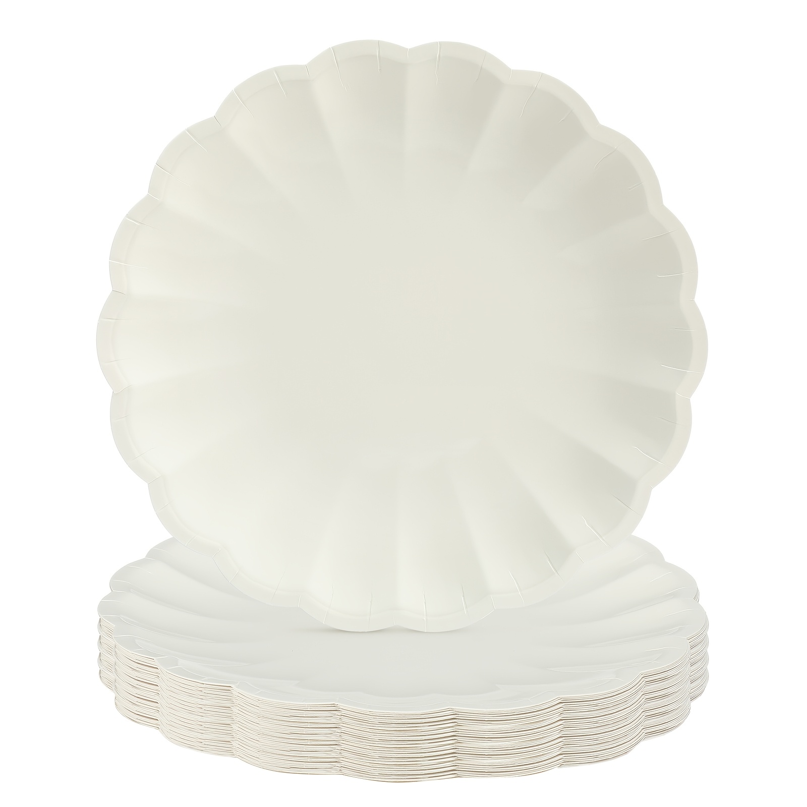 shell paper plates sold on Temu United States