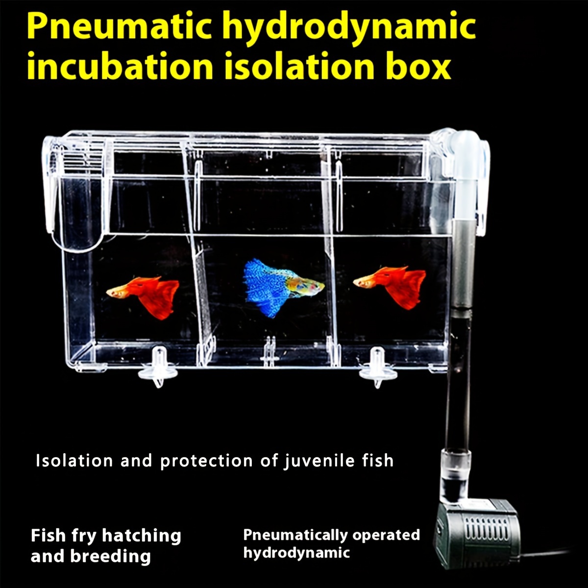 Guppy Fish Live Acrylic Fish Breeding Box Tank Fry Trap Hatchery ...