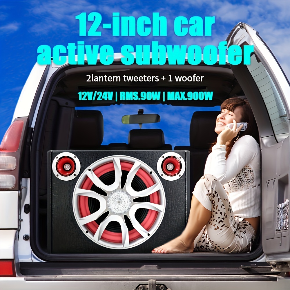 12 inch subwoofer sold on Temu United States