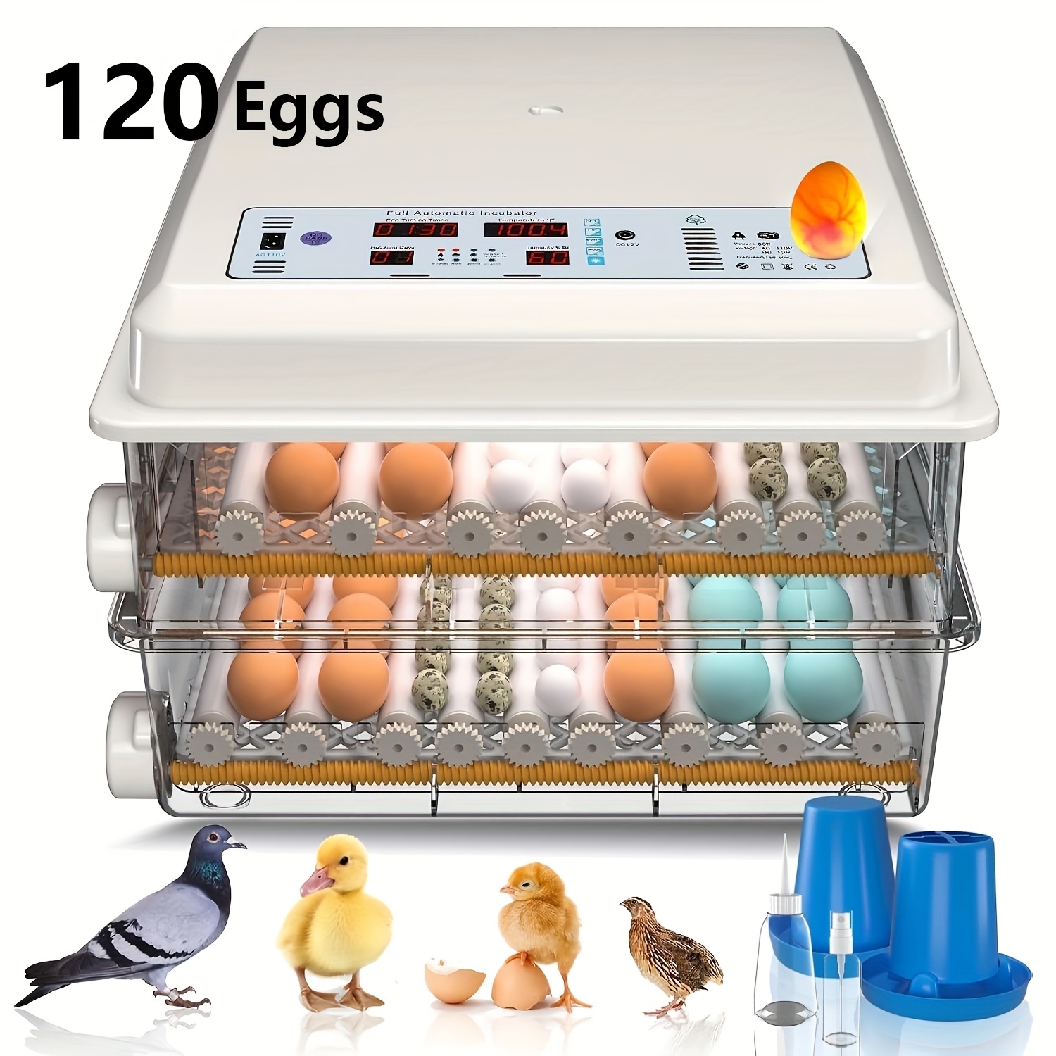 egg incubators sold on Temu United States