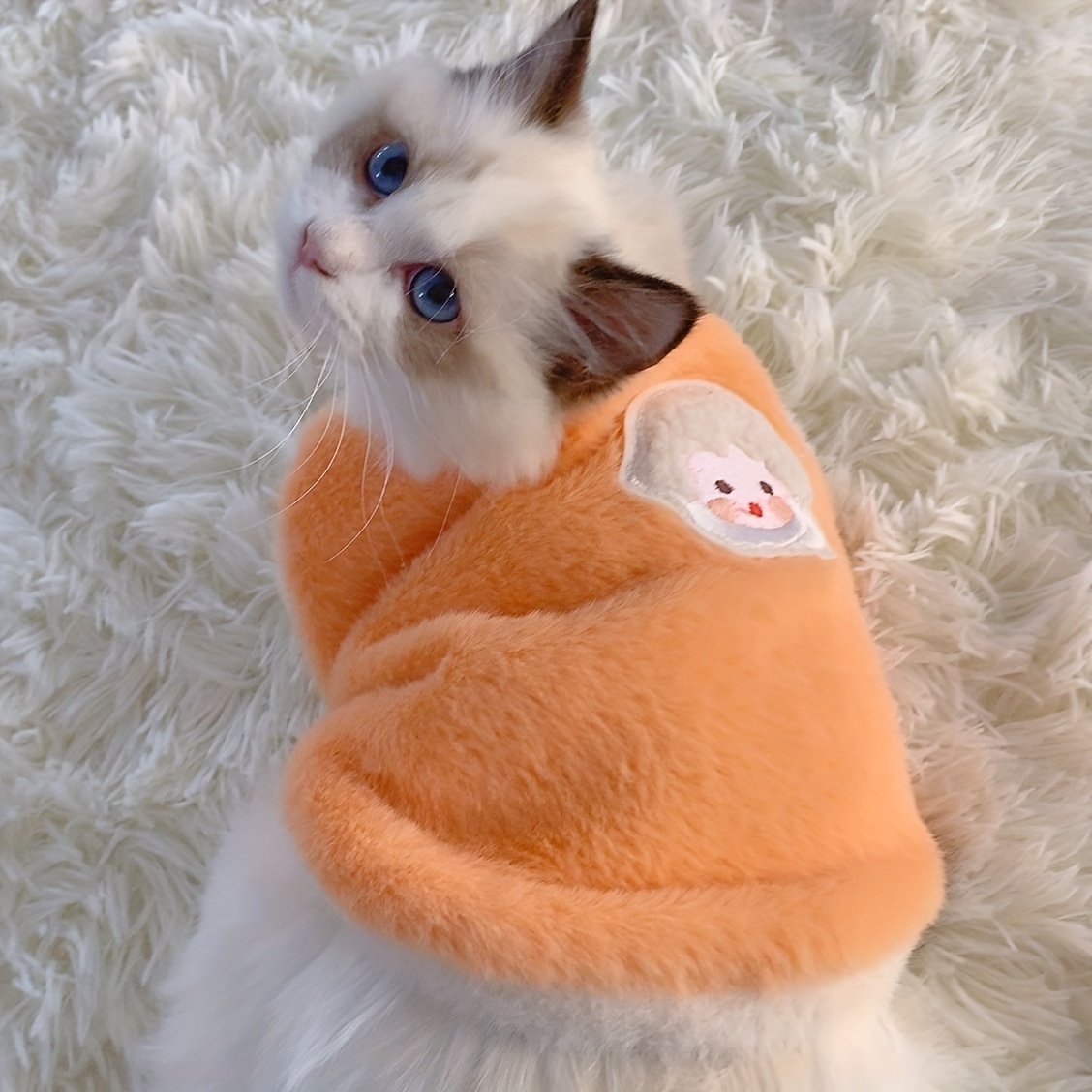 Adorable Autumn And Winter Cat Warm Thick Vest To Prevent Shedding ...