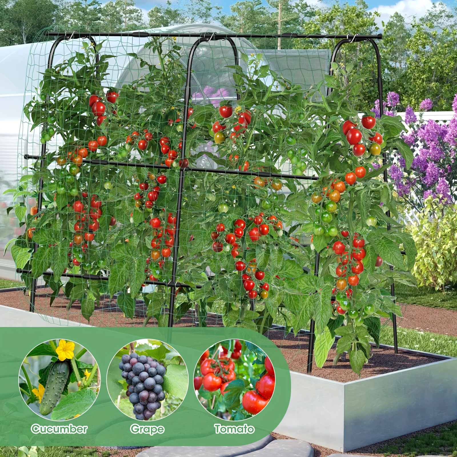 Cucumber Vegetable Trellis U shaped Metal - Temu