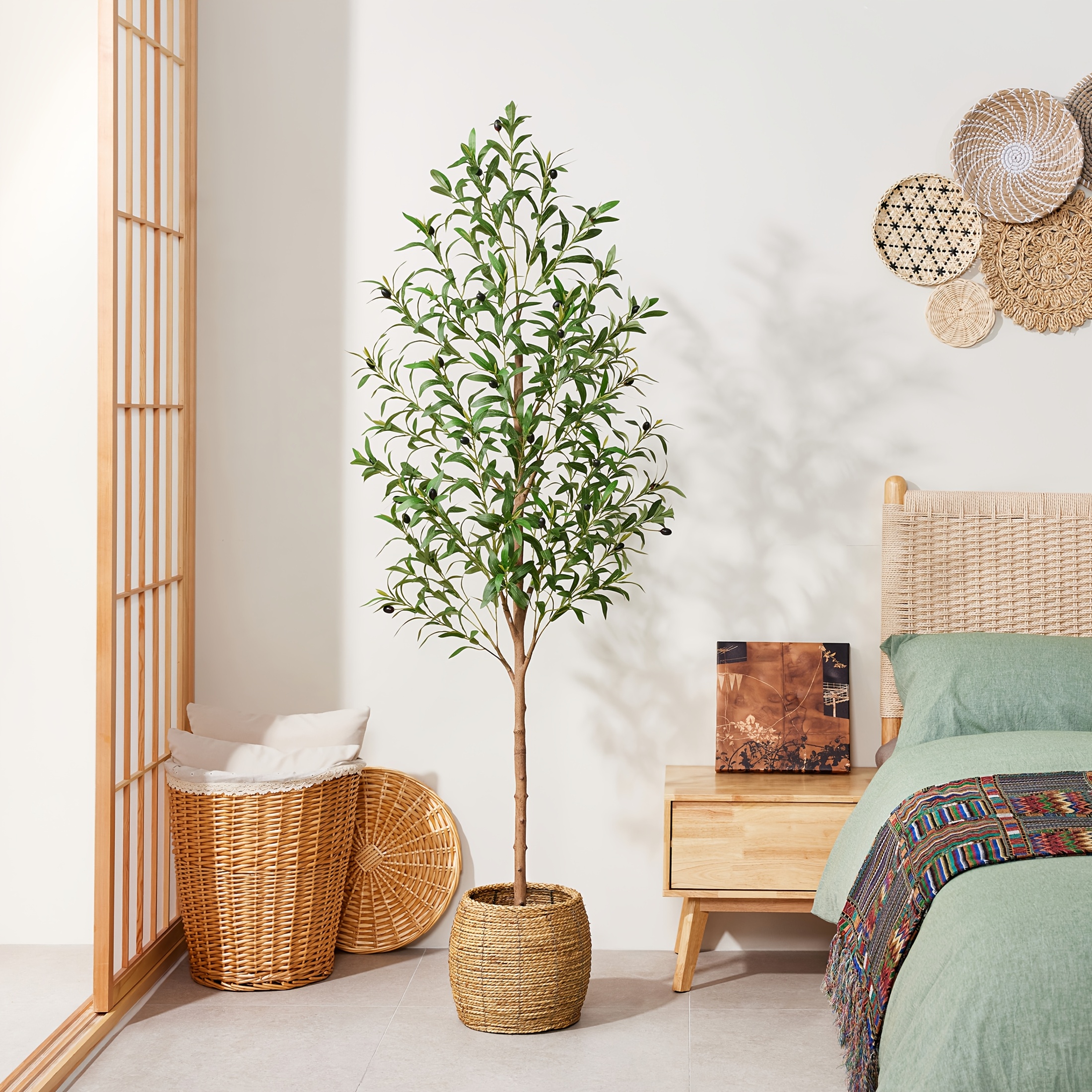 olive tree sold on Temu United States