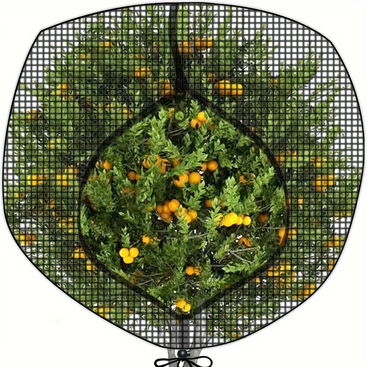 fruit tree netting sold on Temu United States