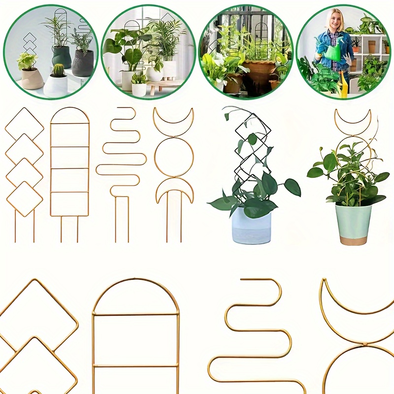 Mini Plant Trellis Potted Climbing Plants Indoor Outdoor - Temu United ...