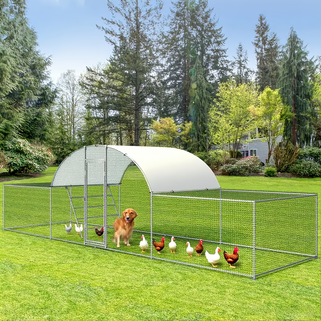 chicken coop sold on Temu United States