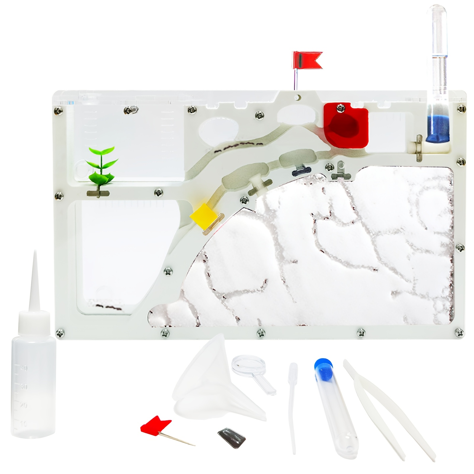 Ant Farm Design