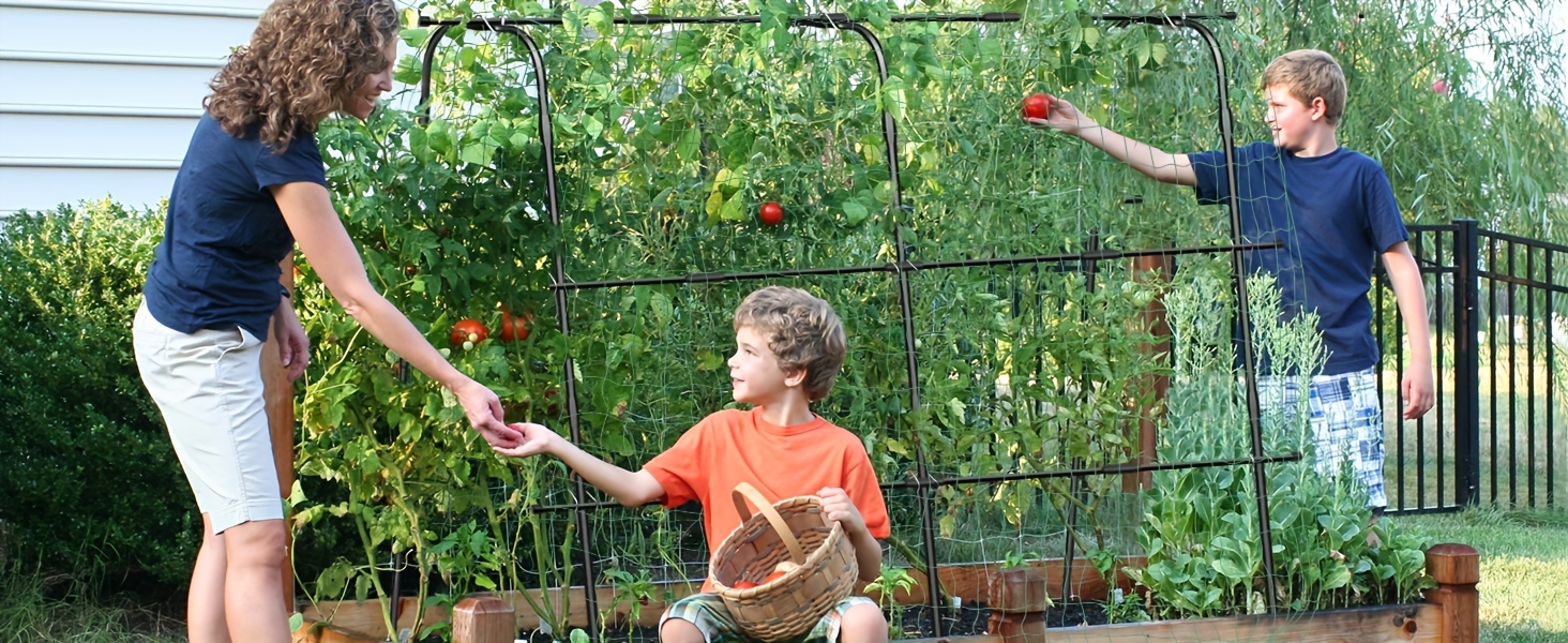 Cucumber Vegetable Trellis U shaped Metal - Temu