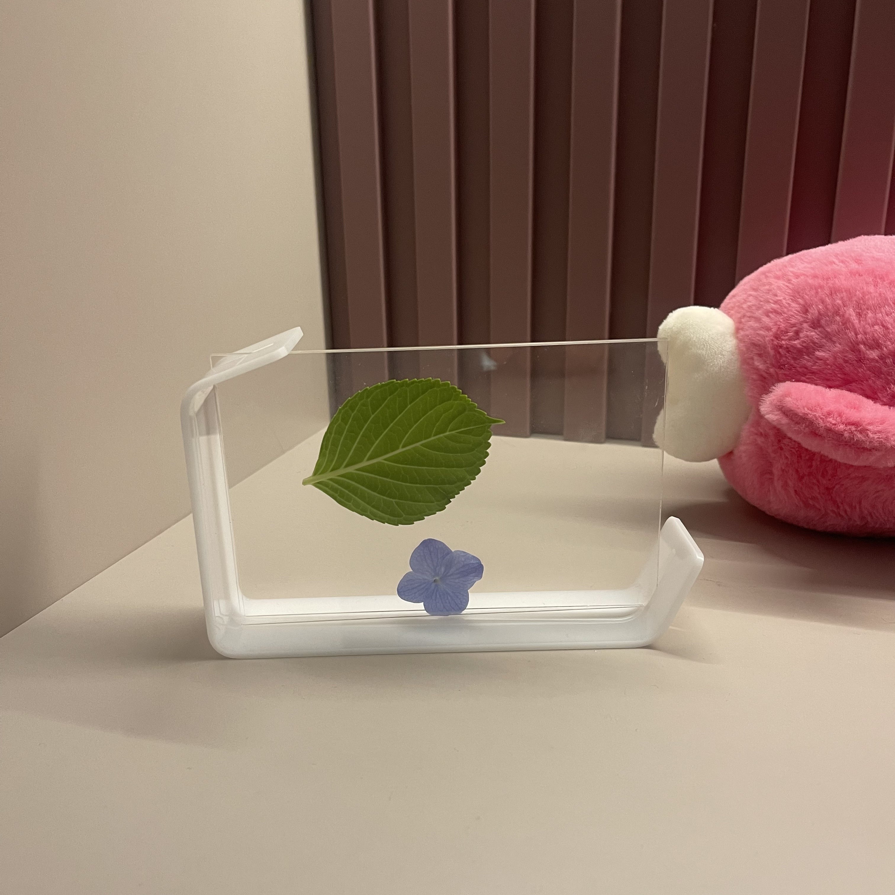 Contemporary Acrylic Plant Specimen Frame Diy Handmade - Temu