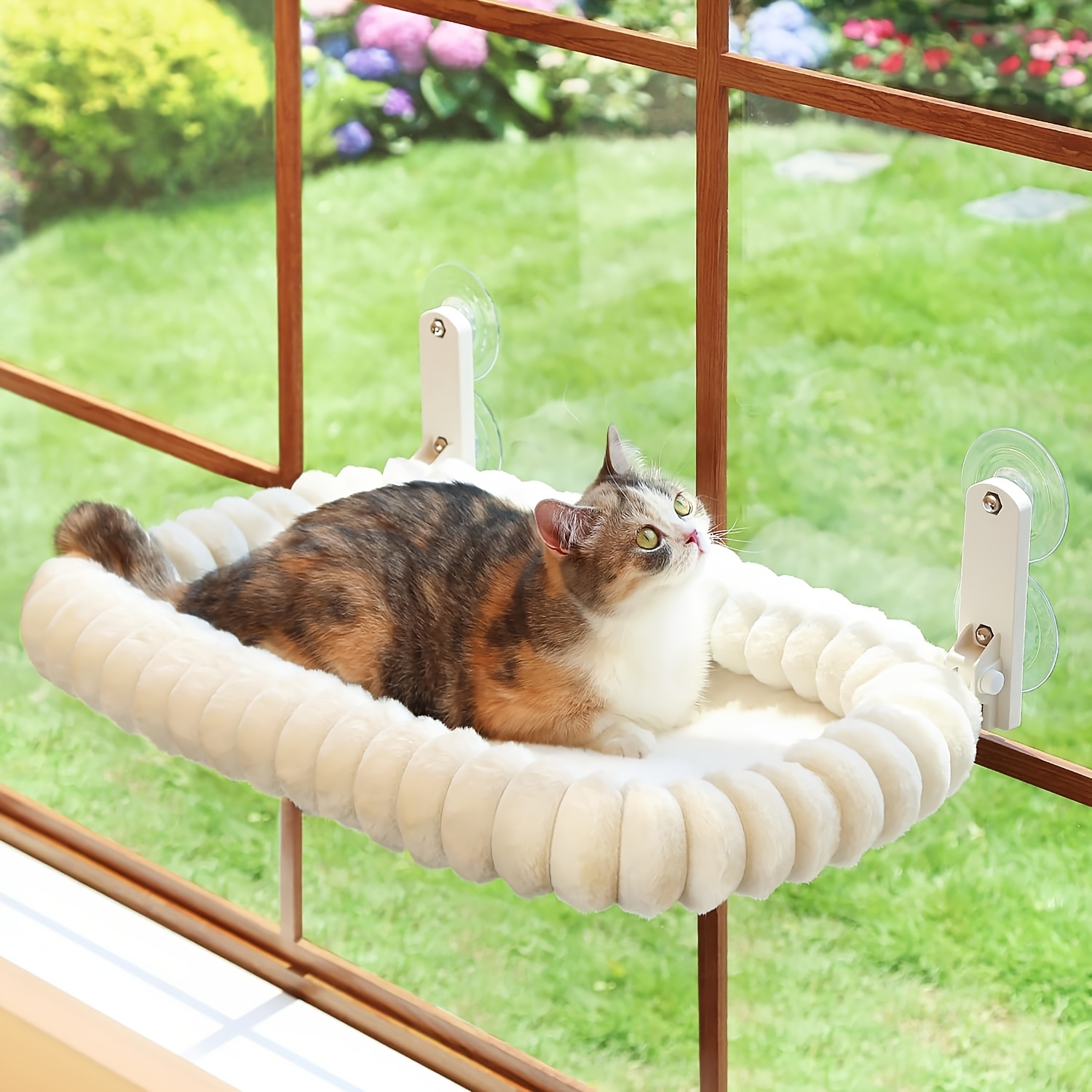 cat trees for large cats sold on Temu New Zealand
