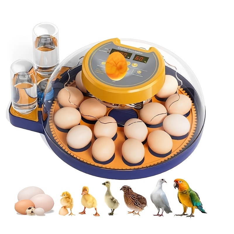 incubator sold on Temu United States