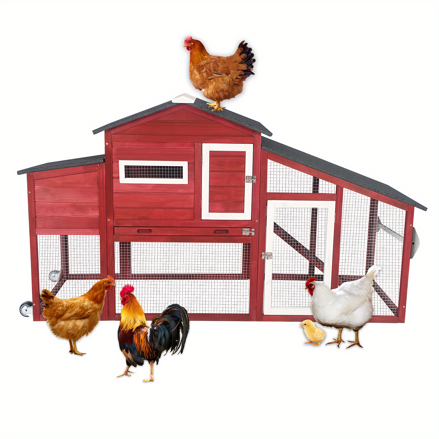 chicken coop sold on Temu United States