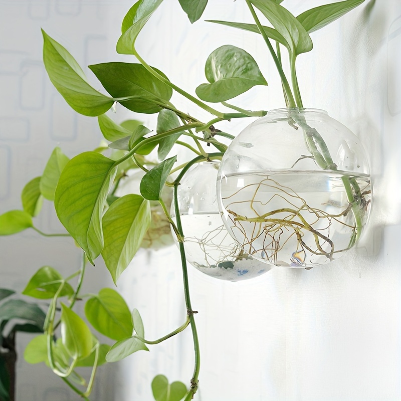 Creative Wall mounted Vase Made Transparent Glass Hydroponic - Temu
