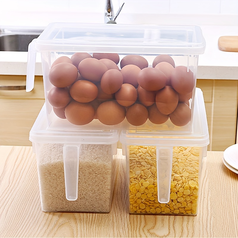 Large clear plastic storage bins with lids store