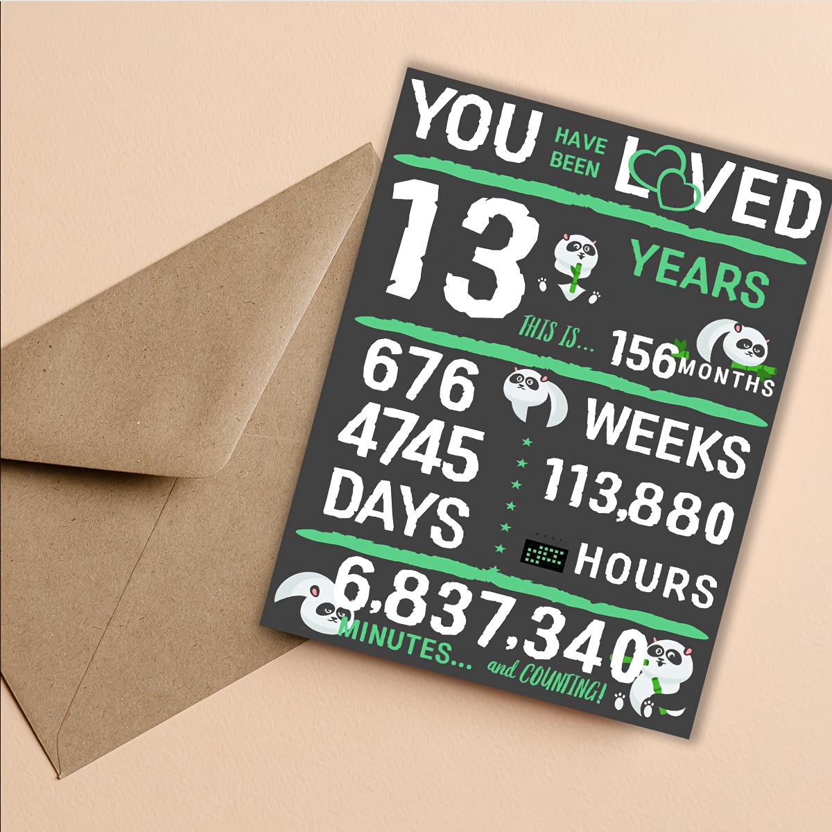 13th Birthday Card panda Series Greeting Cards 13th Birthday - Temu ...