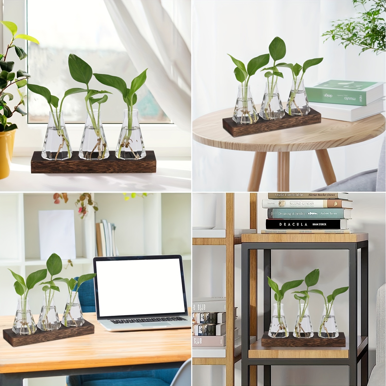 3pcs plant glass containers with wooden tray plant communication ...