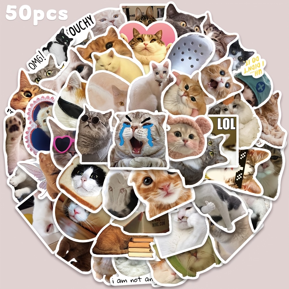 cat meme stickers waterproof sold on Temu United States