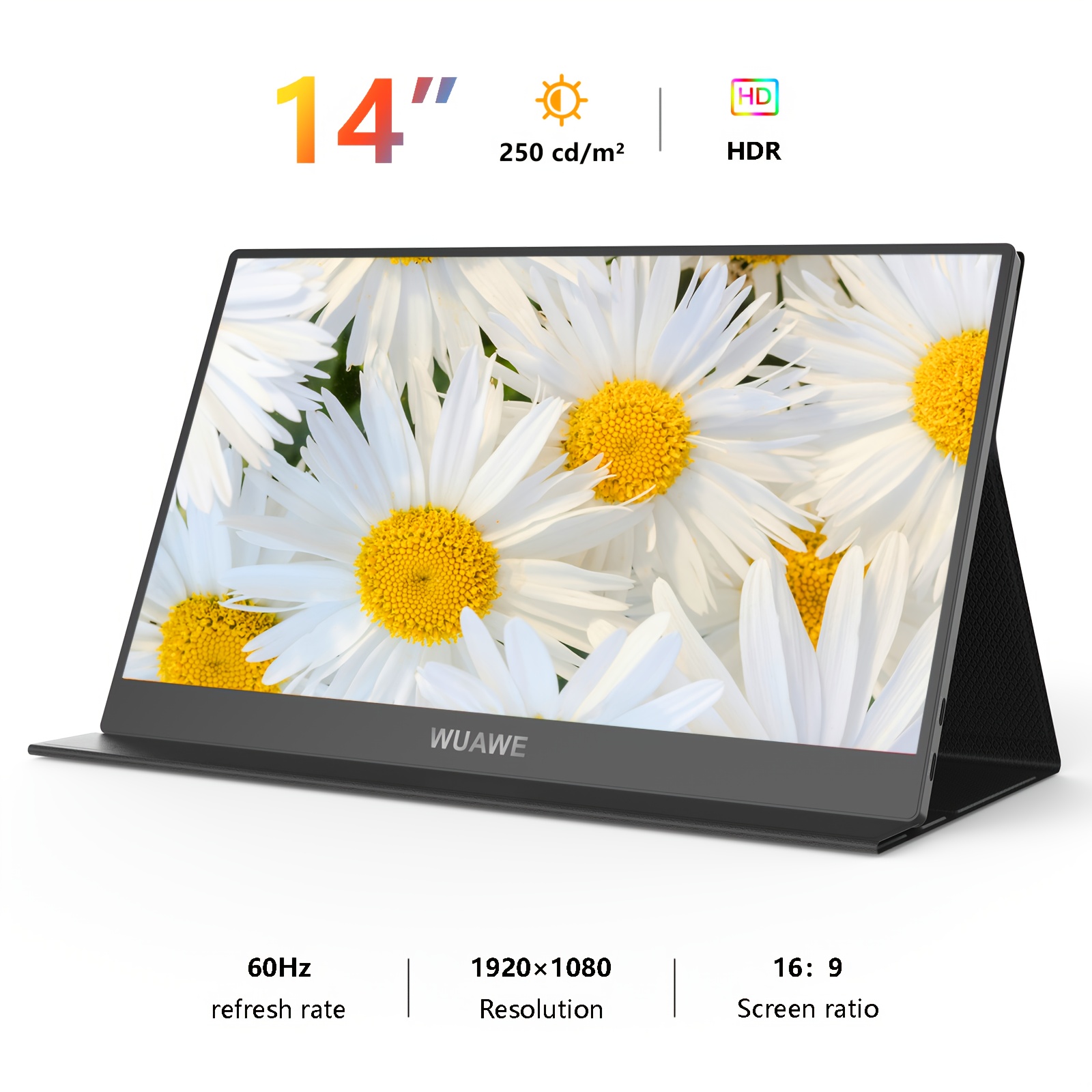 computers and monitors sold on Temu United States