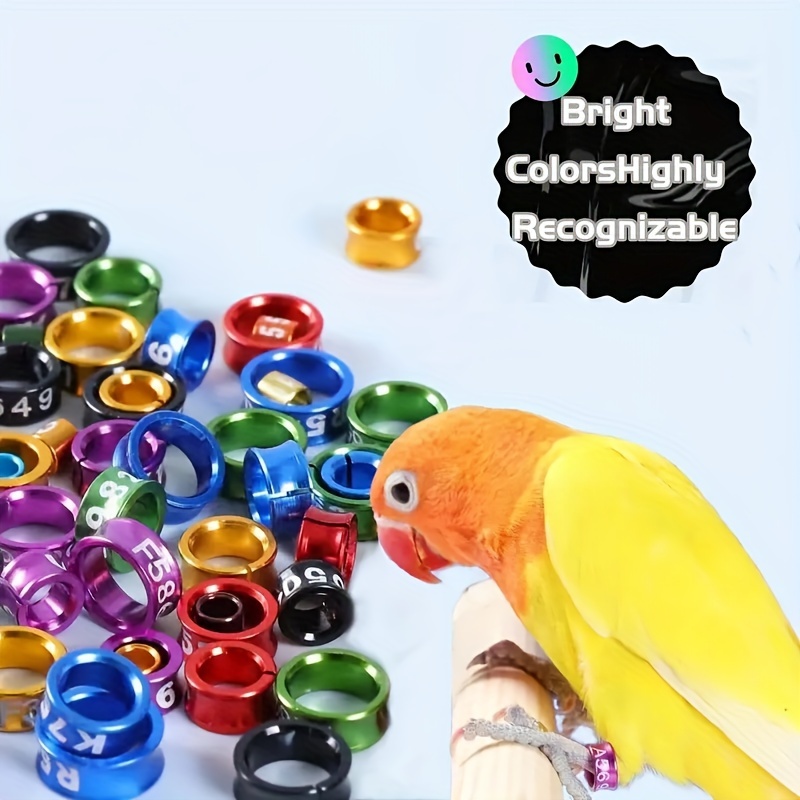 20 stk af fóthringjum fyrir fugla úr álblöndu til að - Temu Iceland