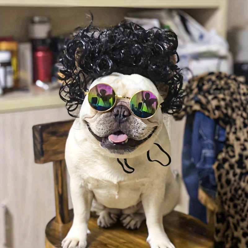 Pugs In Wigs