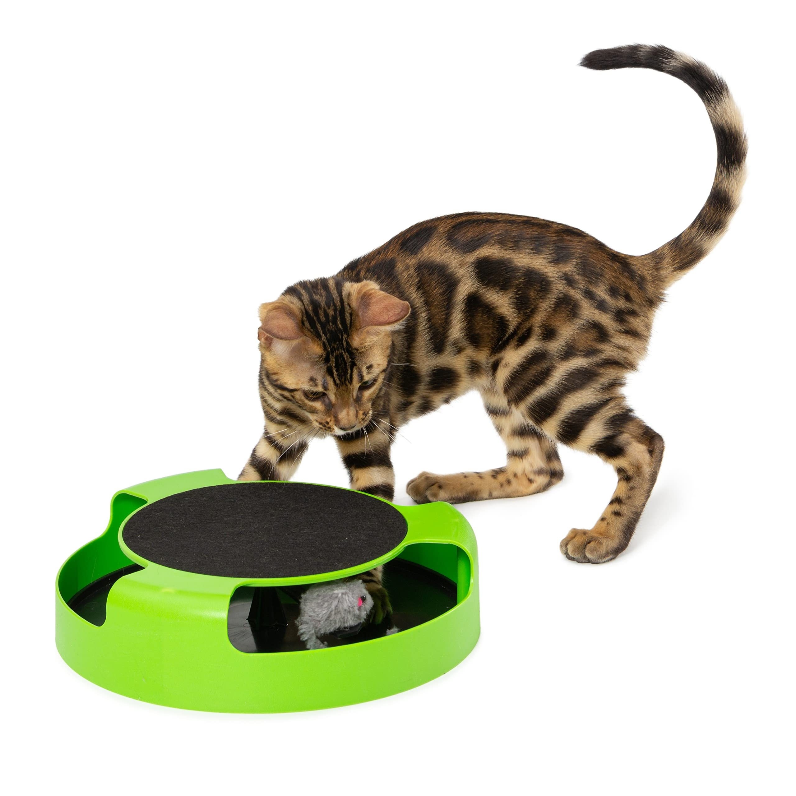 Interactive Cat Scratcher Toy Plastic Non electric - Temu