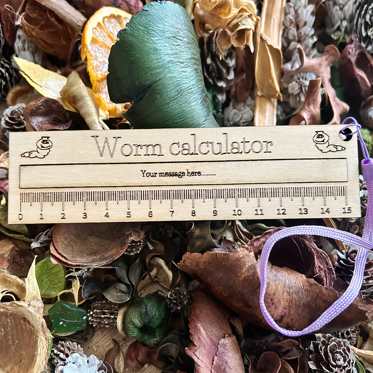 Wooden Worm Calculator Ruler: Perfect Measuring Insects - Temu