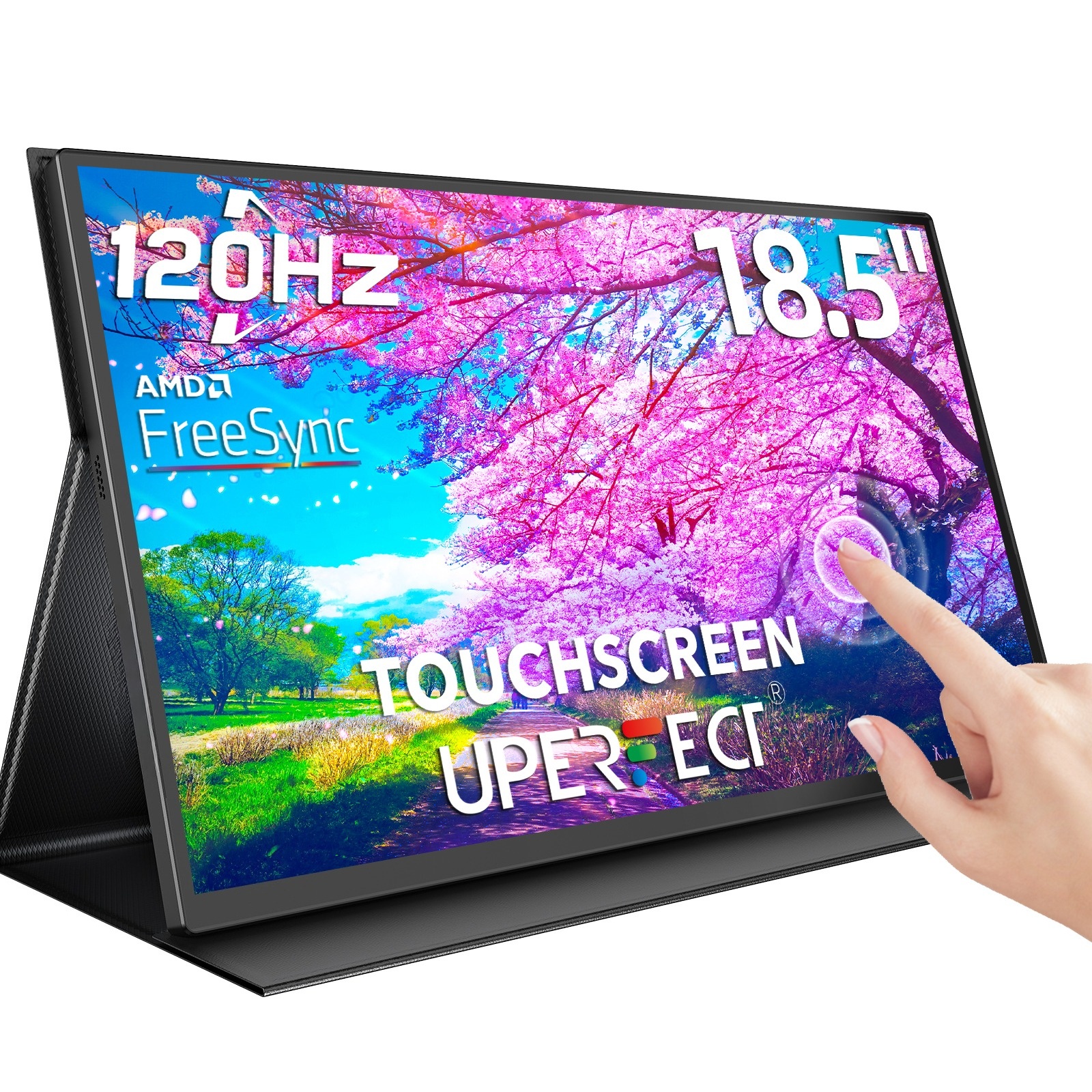 computers and monitors sold on Temu United States