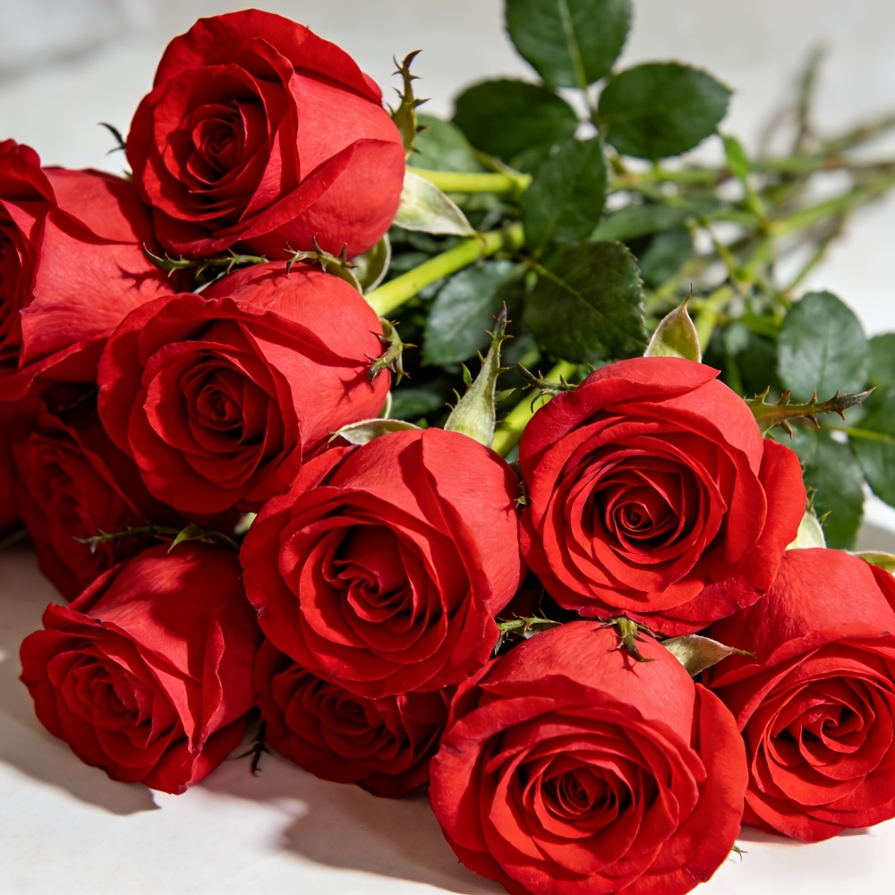 red roses sold on Temu United States