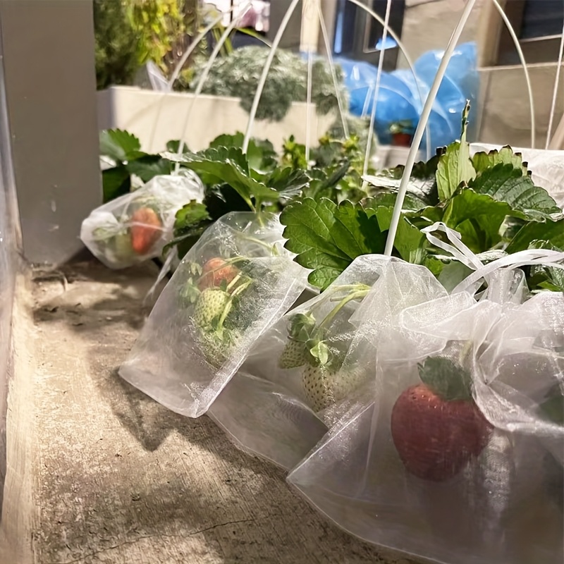 fruit protection bags sold on Temu United States