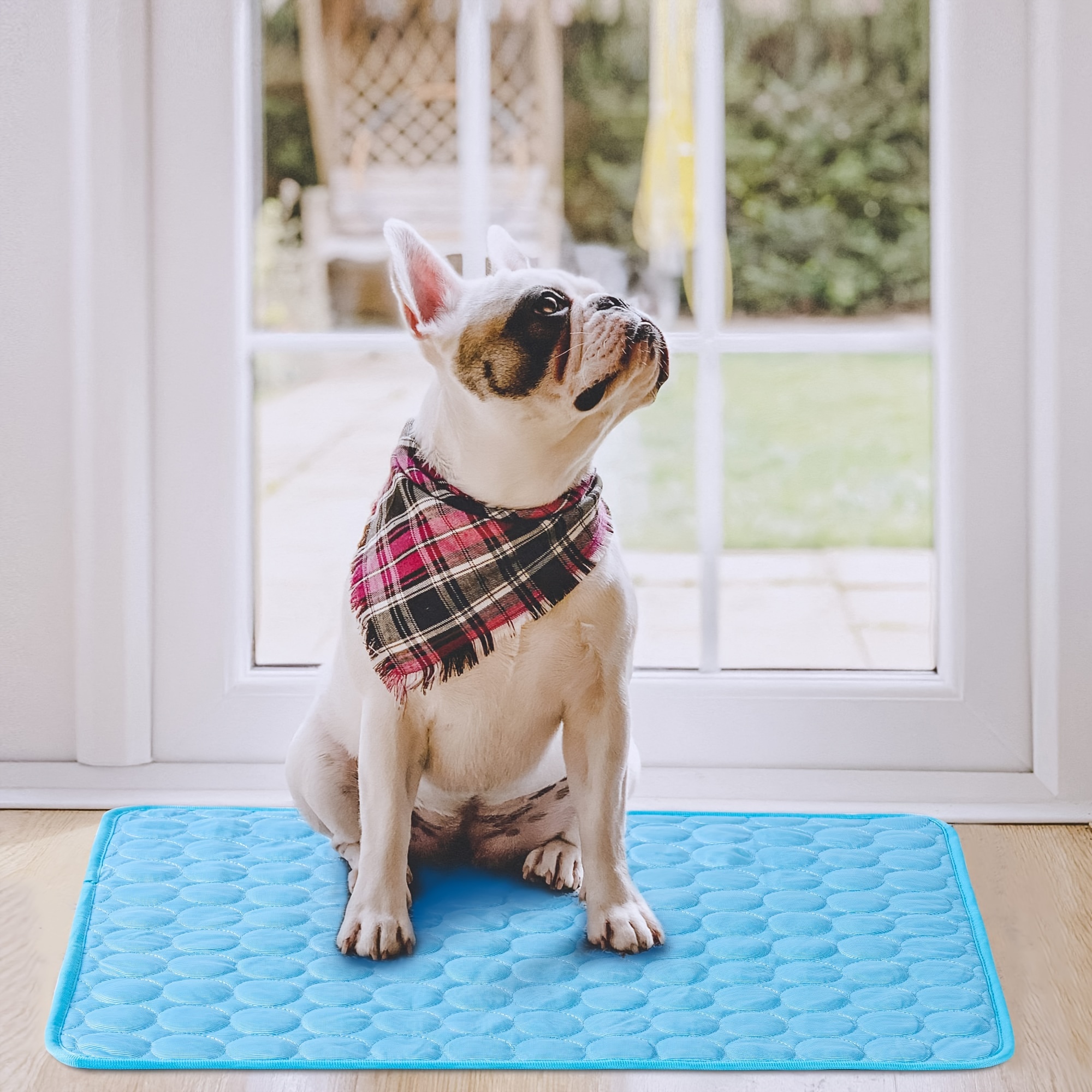 ultra soft dog bed crate pad breathable washable nylon Temu United Kingdom
