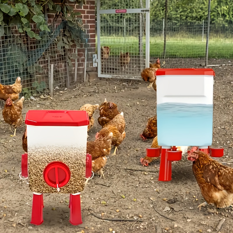 chicken feeder sold on Temu Australia