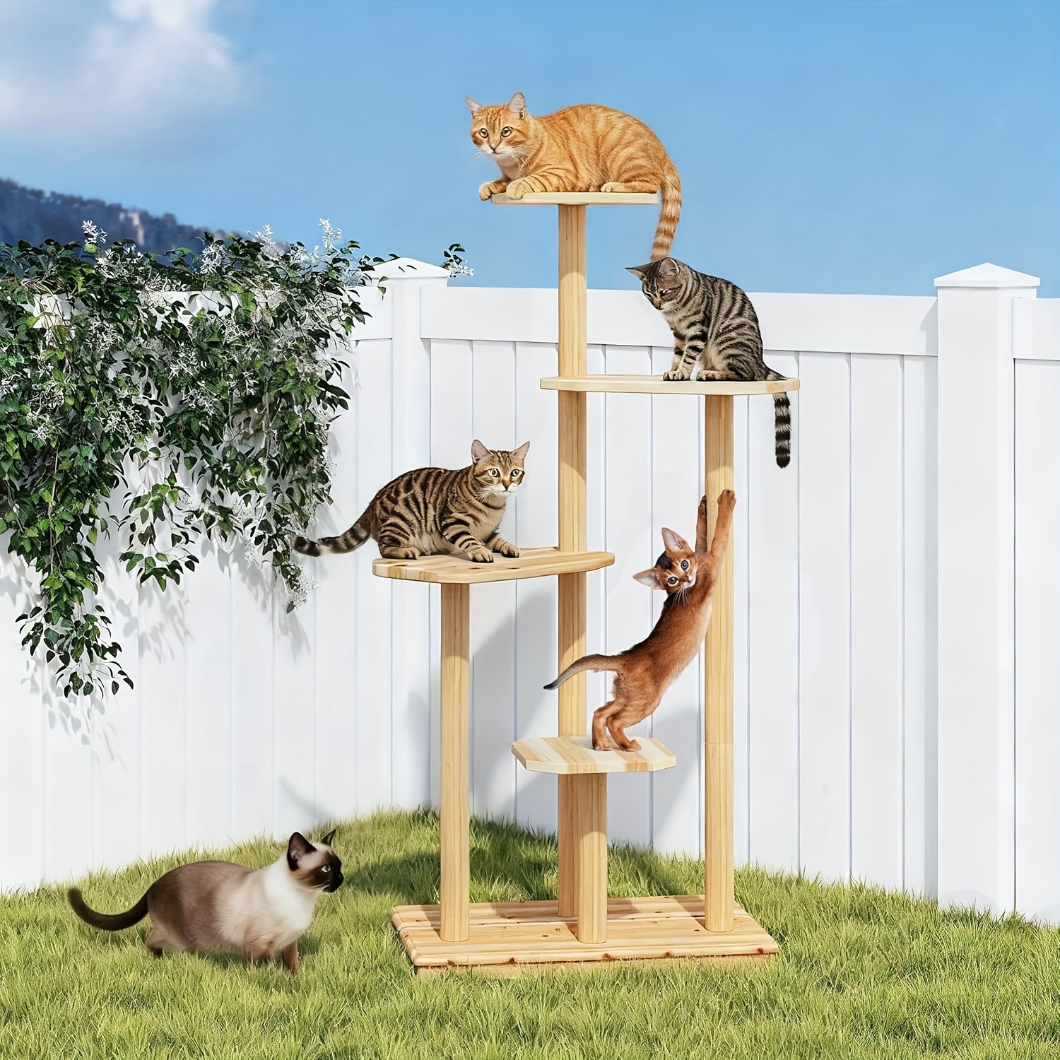 Outdoor Cat Platform