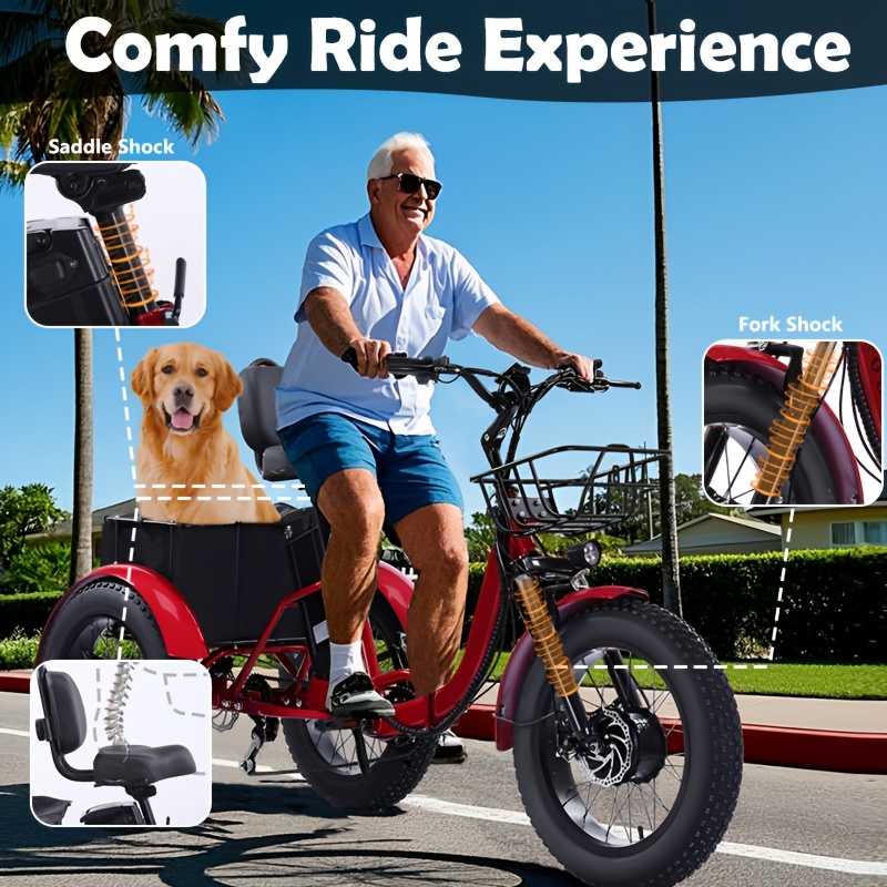 electric adult tricycle sold on Temu United States