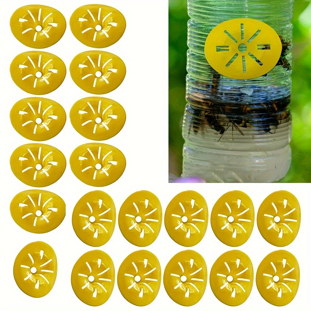 bee traps - United Kingdom