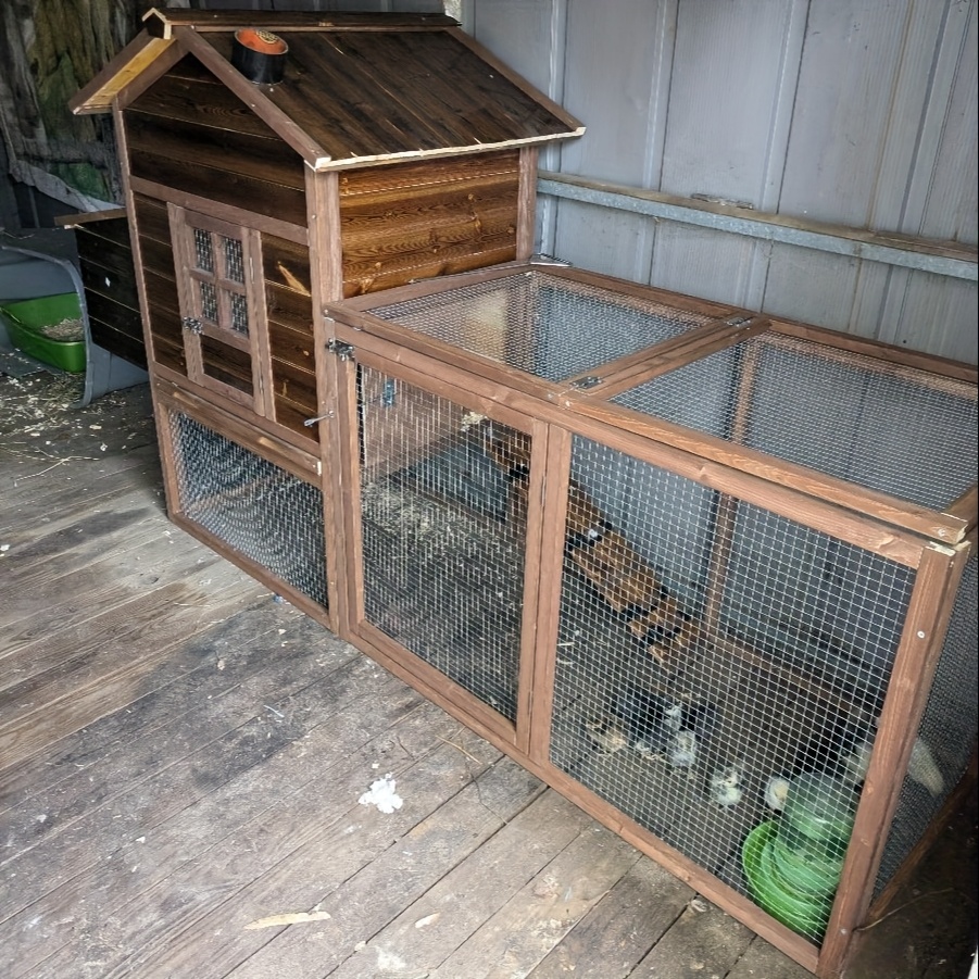 chicken coop sold on Temu United States