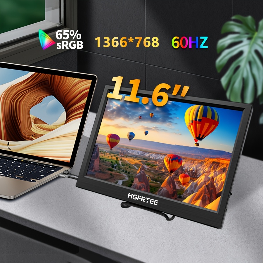 computers and monitors sold on Temu United States