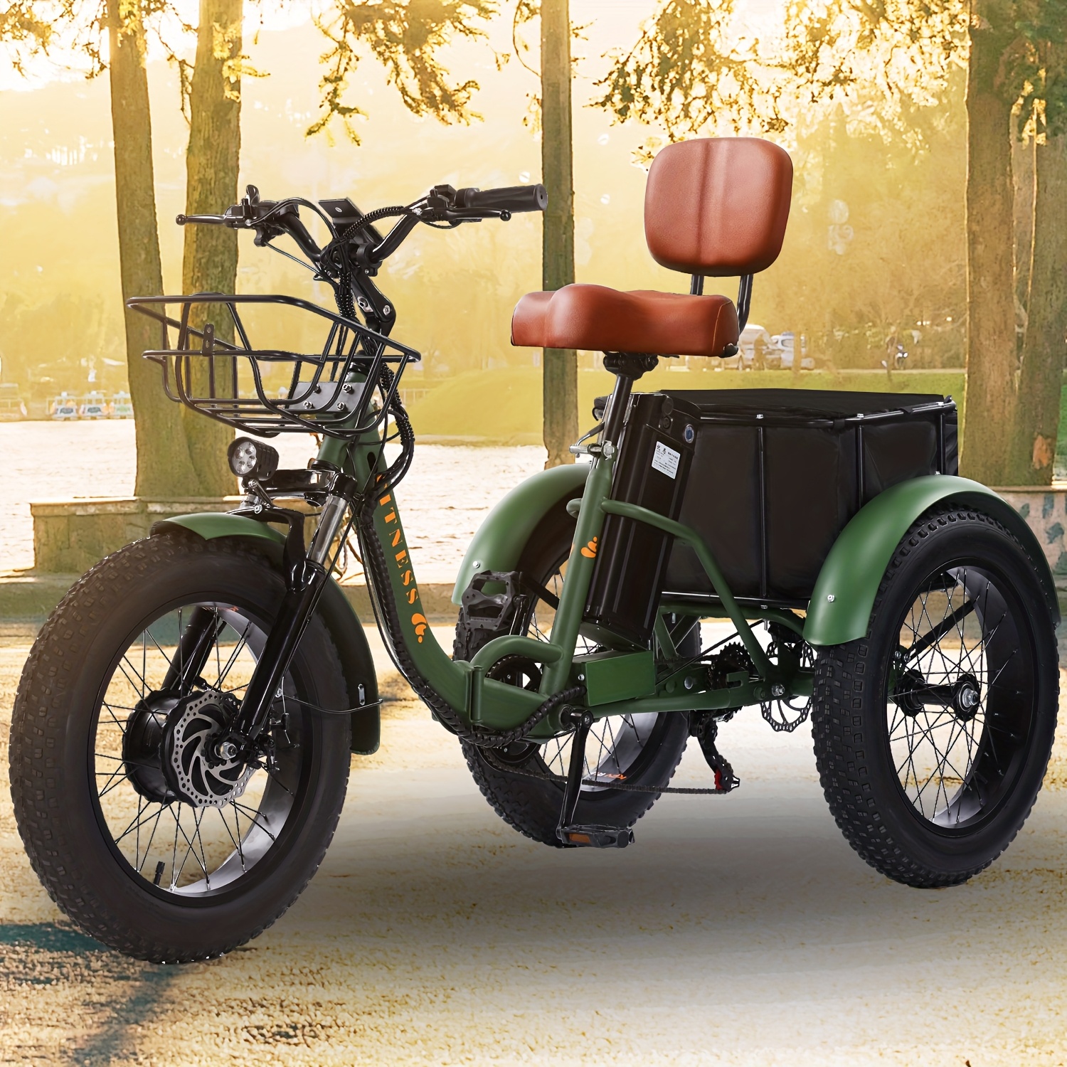 electric adult tricycle sold on Temu United States