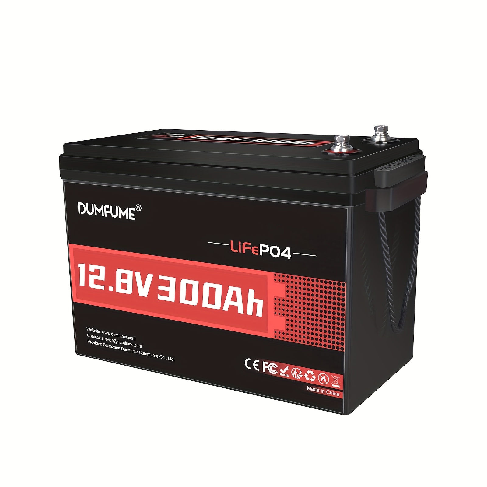 lithium batteries sold on Temu United States