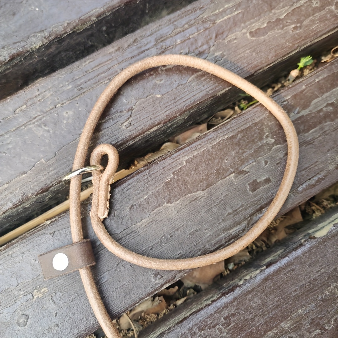 Premium Leather Dog Leash P-chain For Small Breeds - Durable P-leash ...