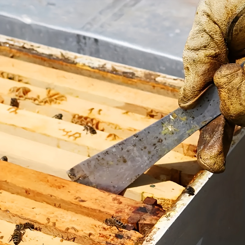 Bee Hive Scraper Honeycomb Cutting Knife Flat Mouth - Temu Australia