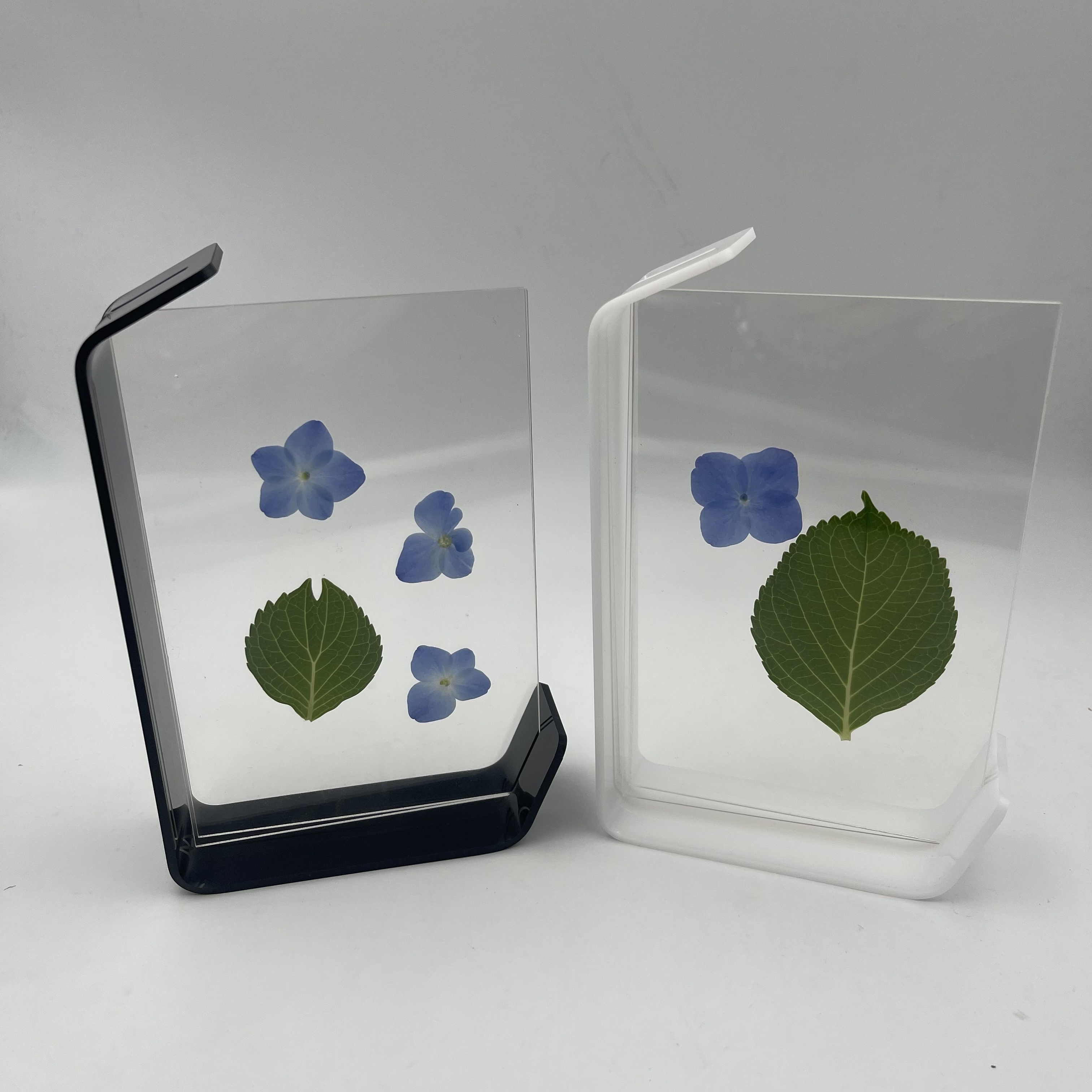 Contemporary Acrylic Plant Specimen Frame Diy Handmade - Temu