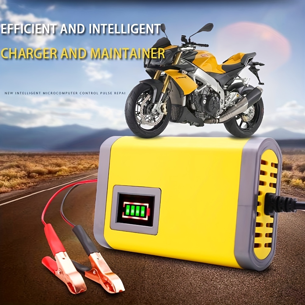 12v battery charger sold on Temu United States