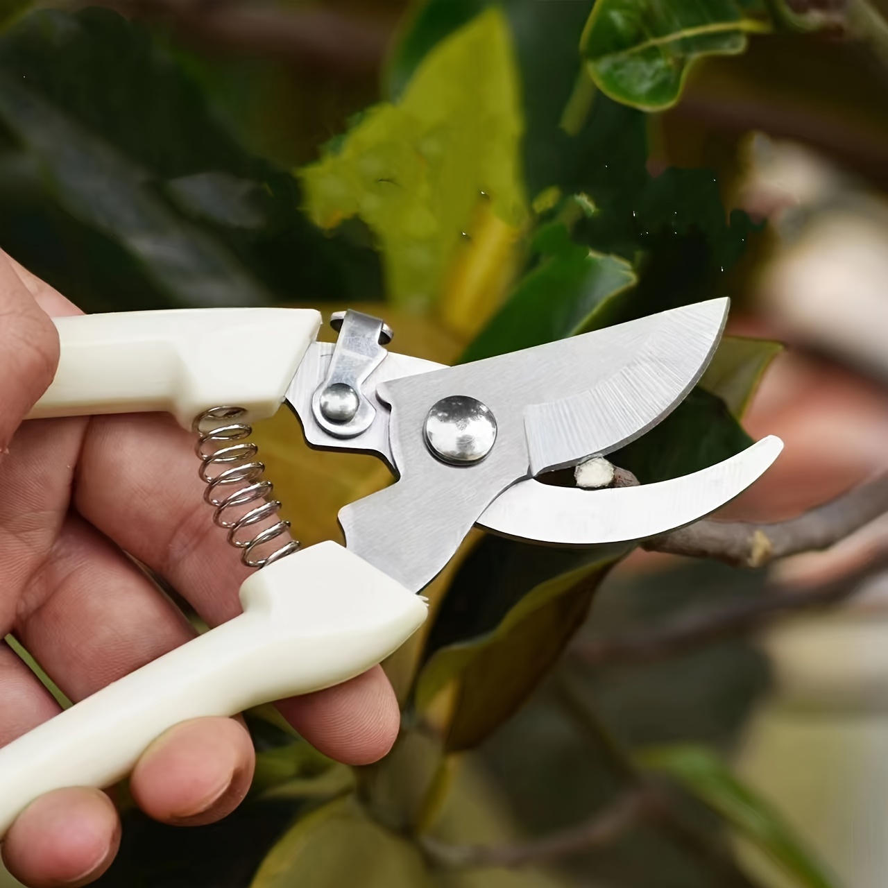 Modern Stainless Steel Gardening Scissors Set - Ambidextrous Metal ...