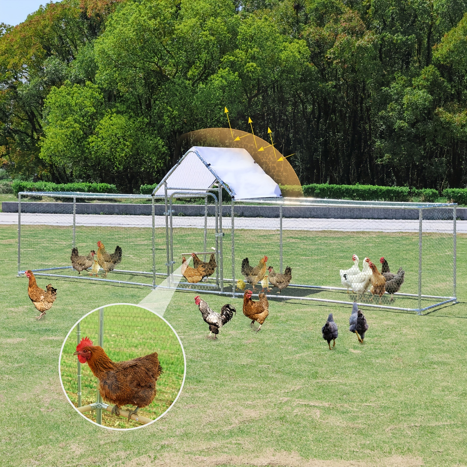 chicken coop sold on Temu United States