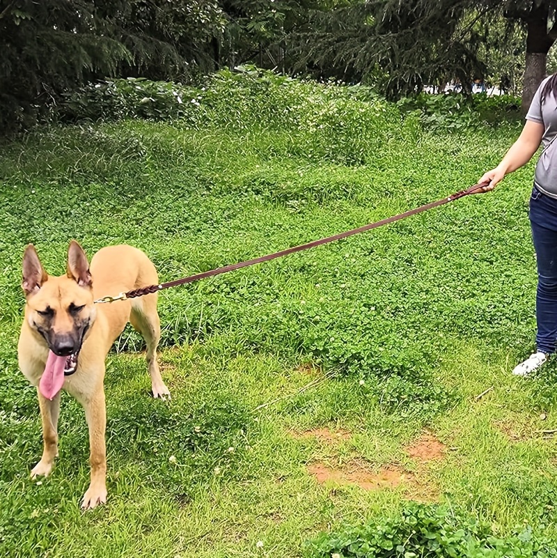 Durable Dog Lead Rope Adjustable Braided Leather Pet Leash - Temu ...