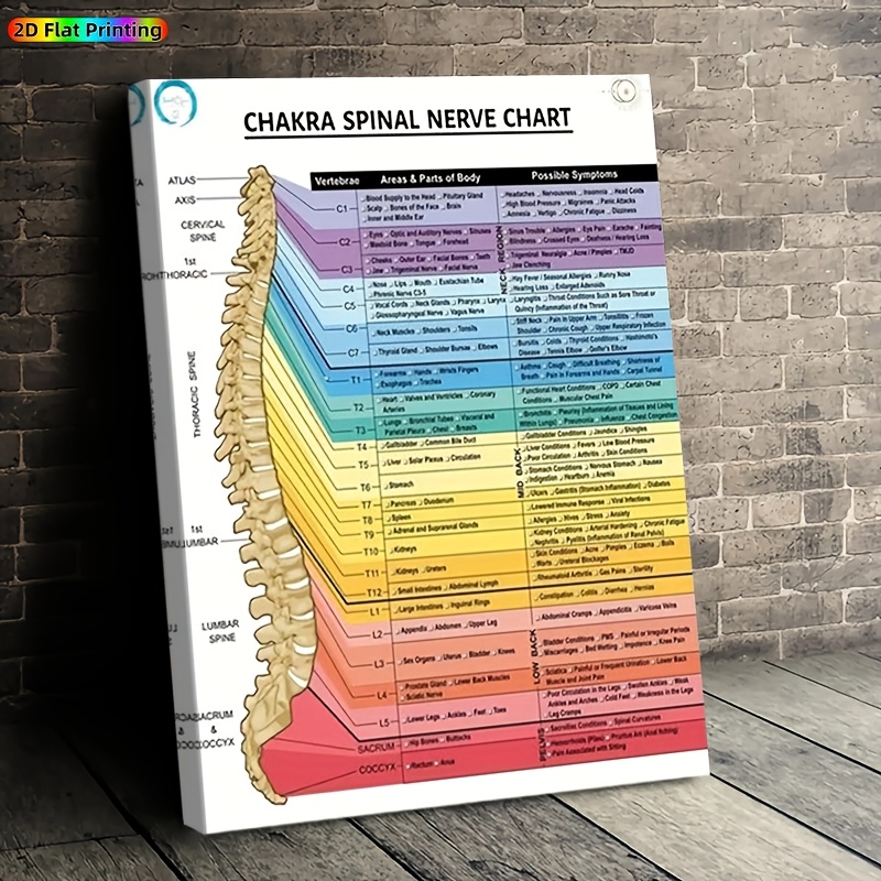 Spinediagram Spinal Nerves Effects Chart Good To
